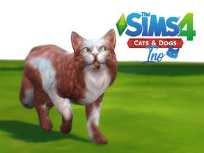 The Sims Resource - Cats