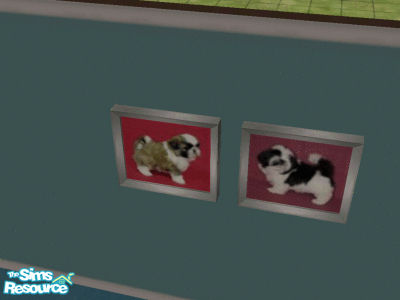 The Sims Resource | My Shih Tzu Puppies