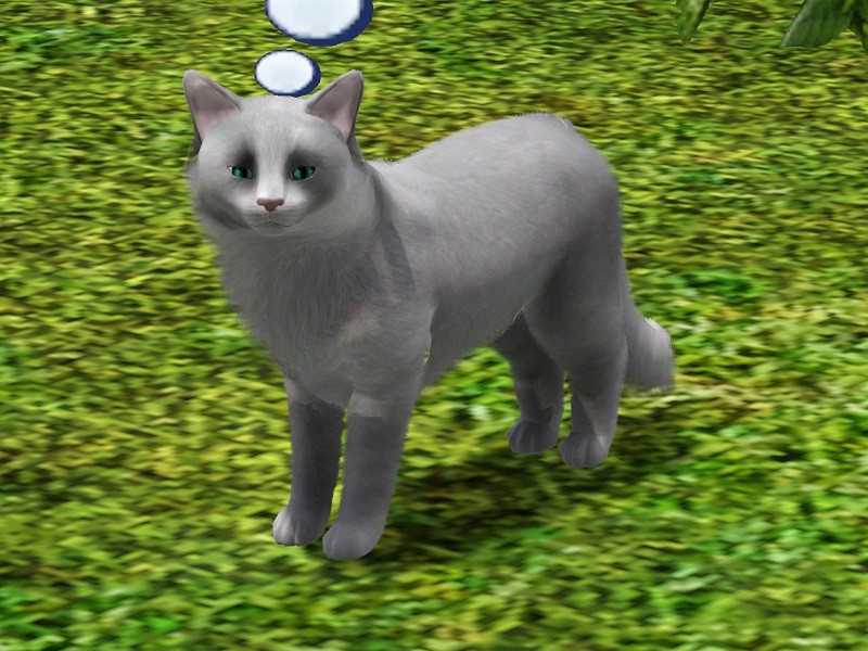 MissMoonshadow's Phantom Cat