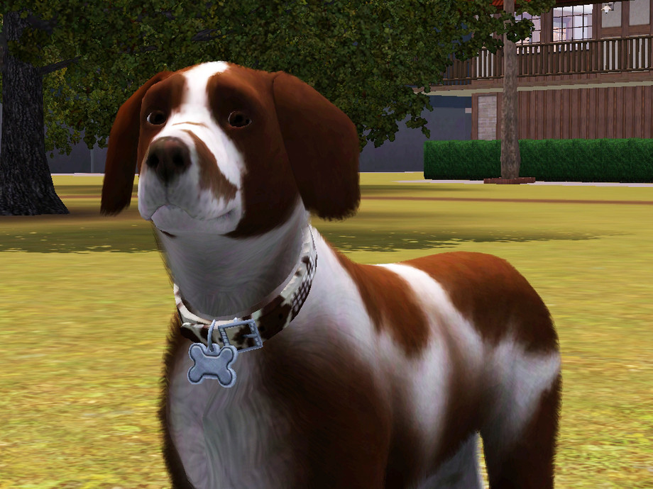 The Sims Resource | Lulu