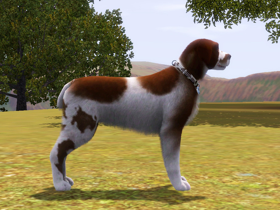 The Sims Resource | Lulu