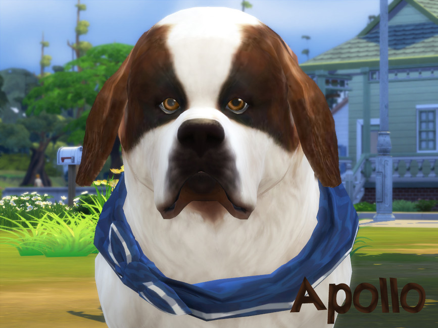 The Sims Resource - Apollo