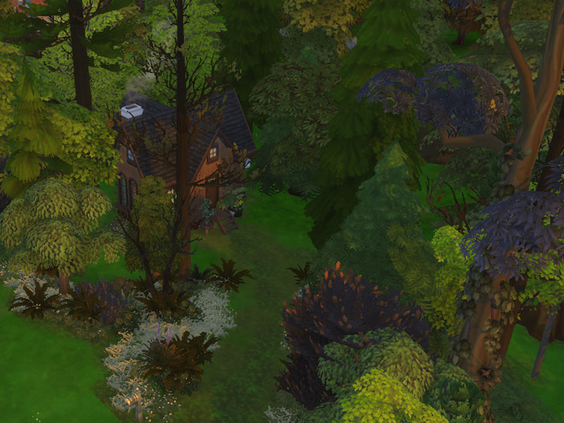 The Sims Resource | In the Woods / NO CC