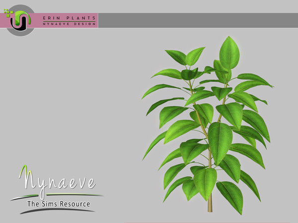 The Sims Resource | Erin Plants - Ficus