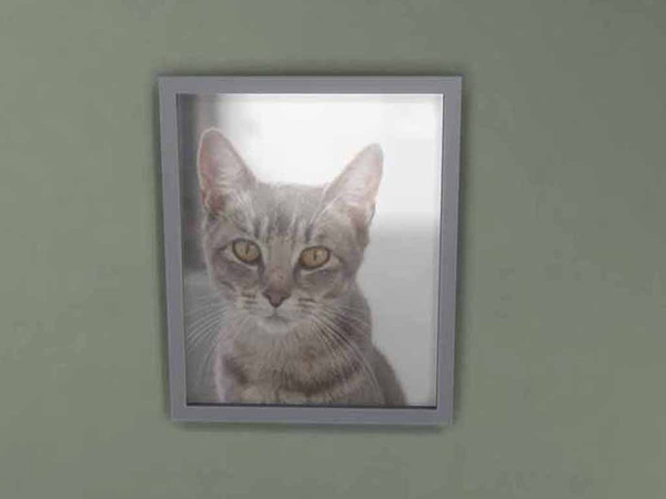 The Sims Resource | Cat Wall Picture