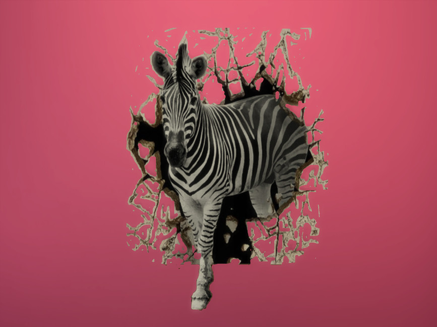 The Sims Resource - Zebra Wall Stickers
