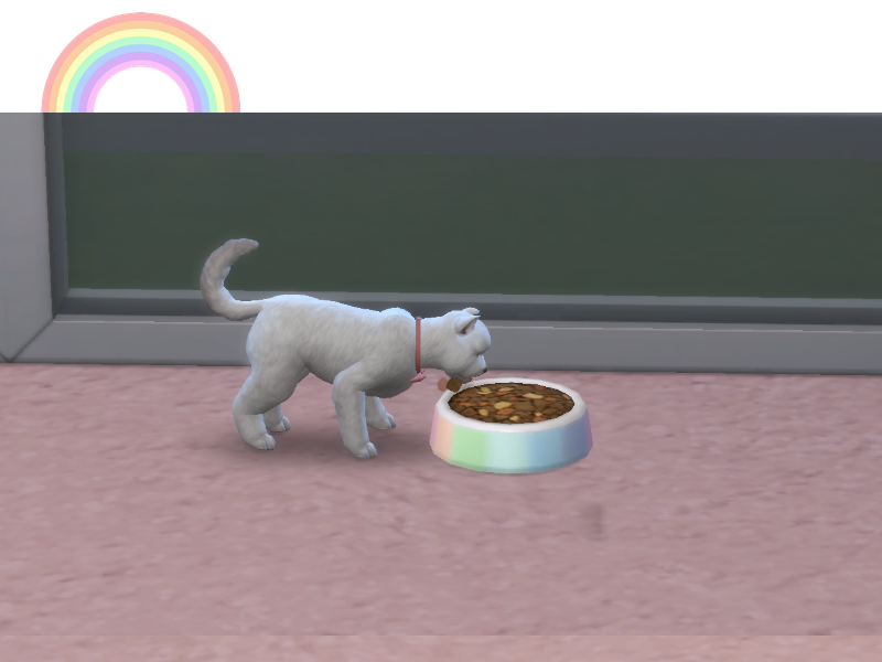 The Sims Resource | Cute Kawaii Pet Set-REQUIRES CATS AND DOGS