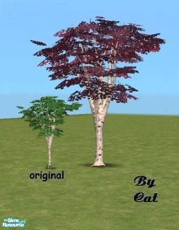 The Sims Resource - Large Birch Tree Maroon.