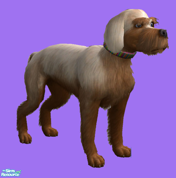 The Sims Resource - A unique dog