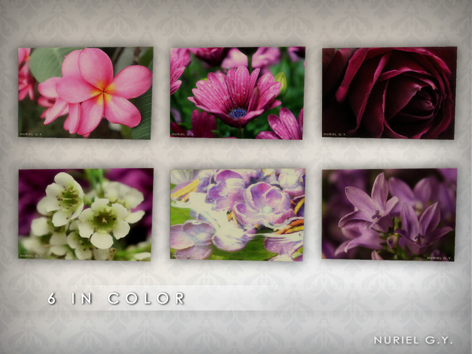 The Sims Resource | Flowers Photography in color