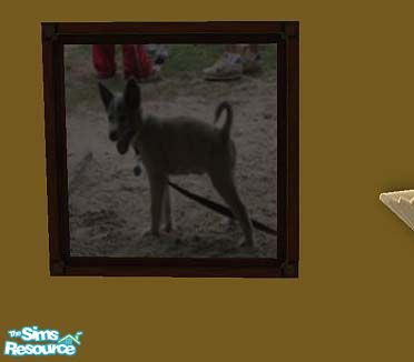 The Sims Resource | Dog Photo