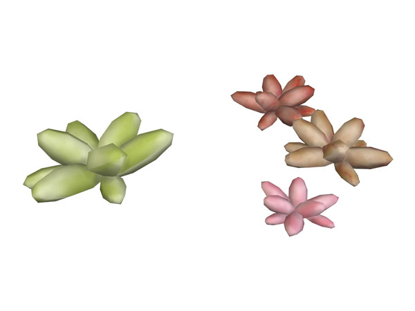 The Sims Resource | Bulb Succulent