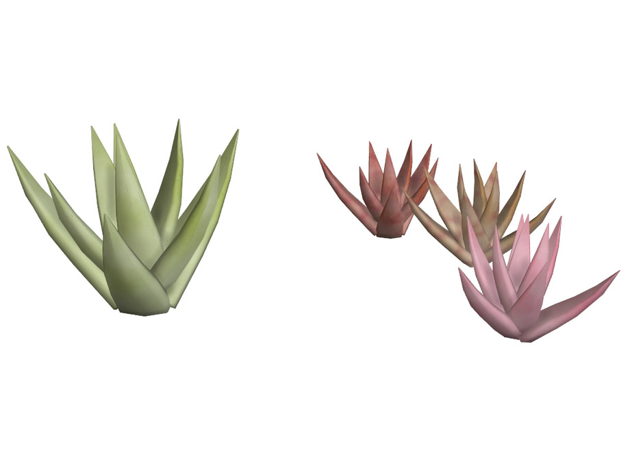 The Sims Resource | Arrowhead Succulent
