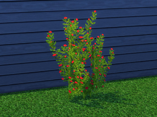 The Sims Resource - Up The Garden Path Rose Shrub