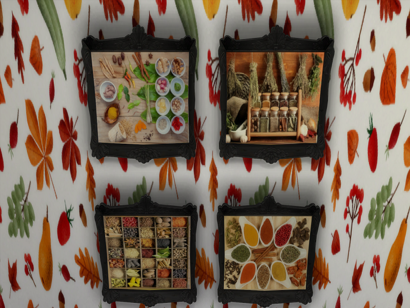 The Sims Resource | Denyse_Frame spices herbs 1