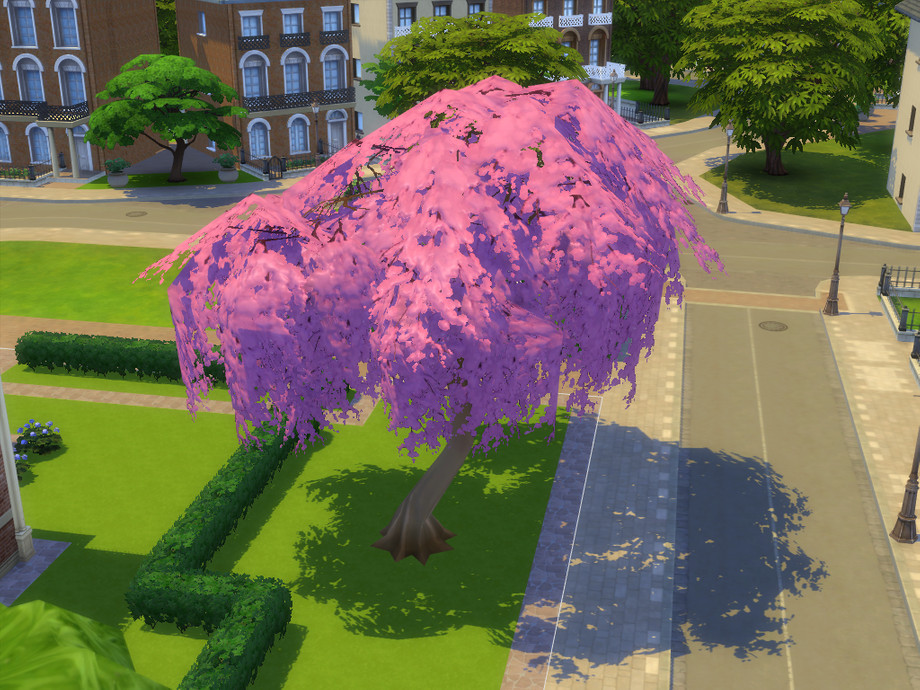 The Sims Resource | phoenixvalleystables - Weeping Cherry Tree Recolour