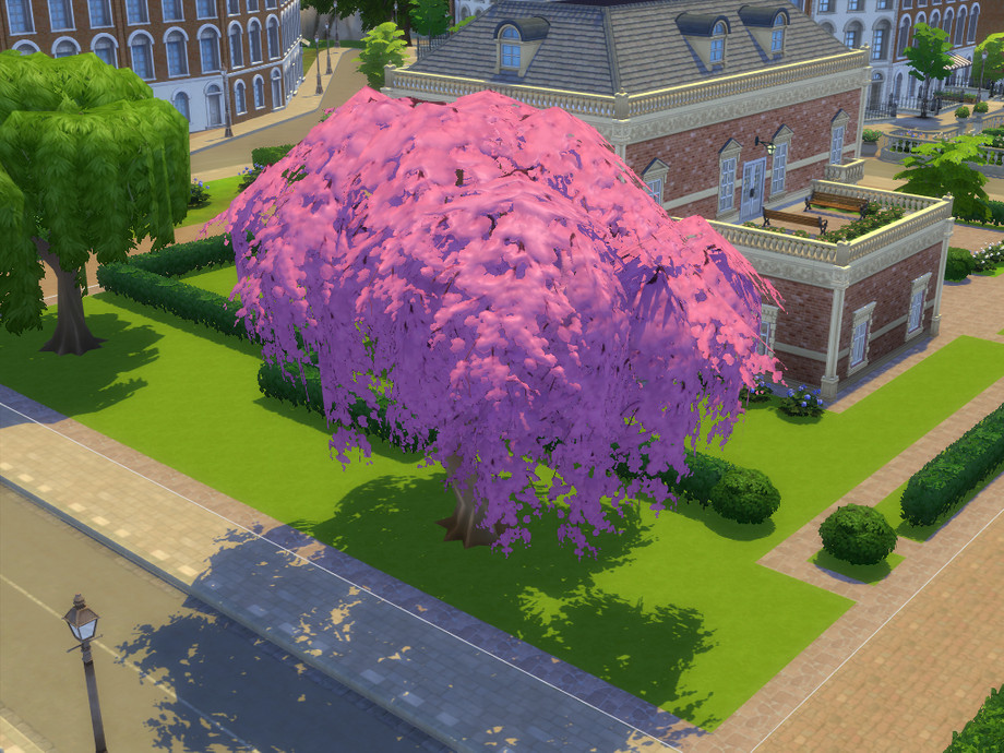 The Sims Resource | phoenixvalleystables - Weeping Cherry Tree Recolour