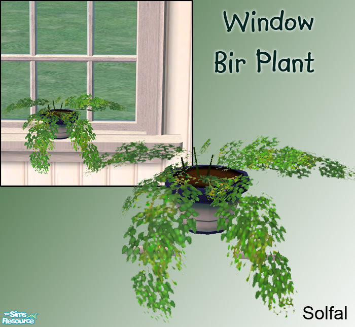 The Sims Resource - Window Bir Plant