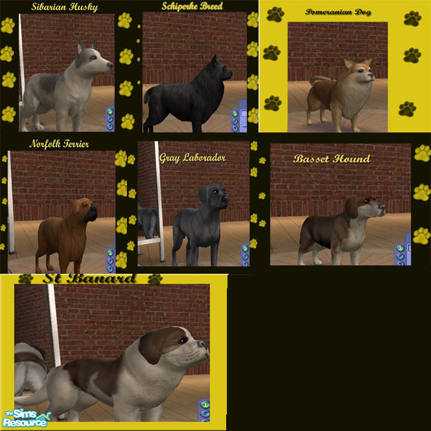 The Sims Resource | Pet Breeds