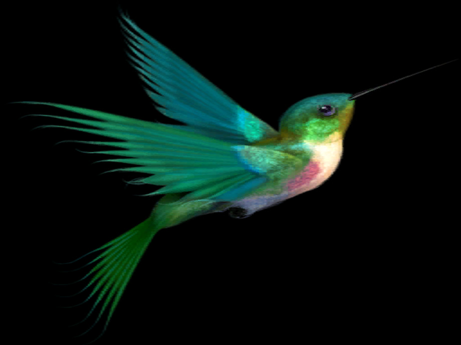 The Sims Resource | HummingBird Decal