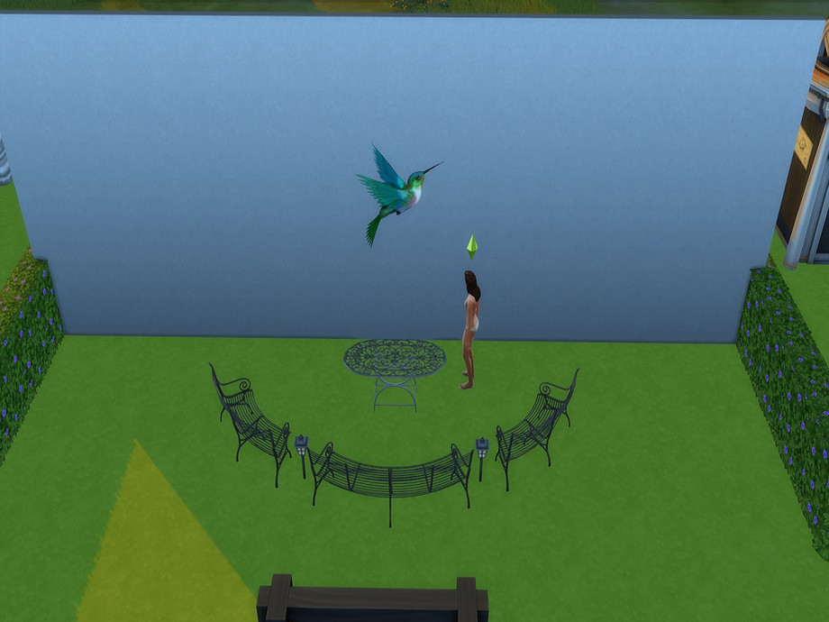 The Sims Resource | HummingBird Decal