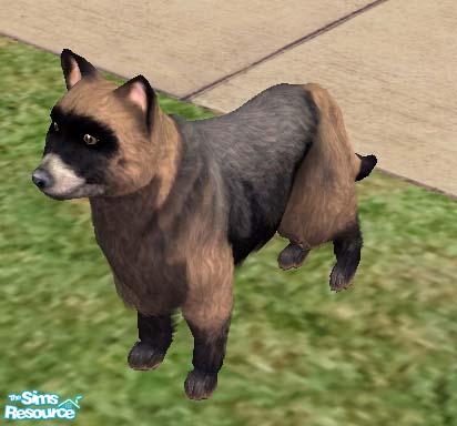 The Sims Resource | Raccoon Dog / Tanuki
