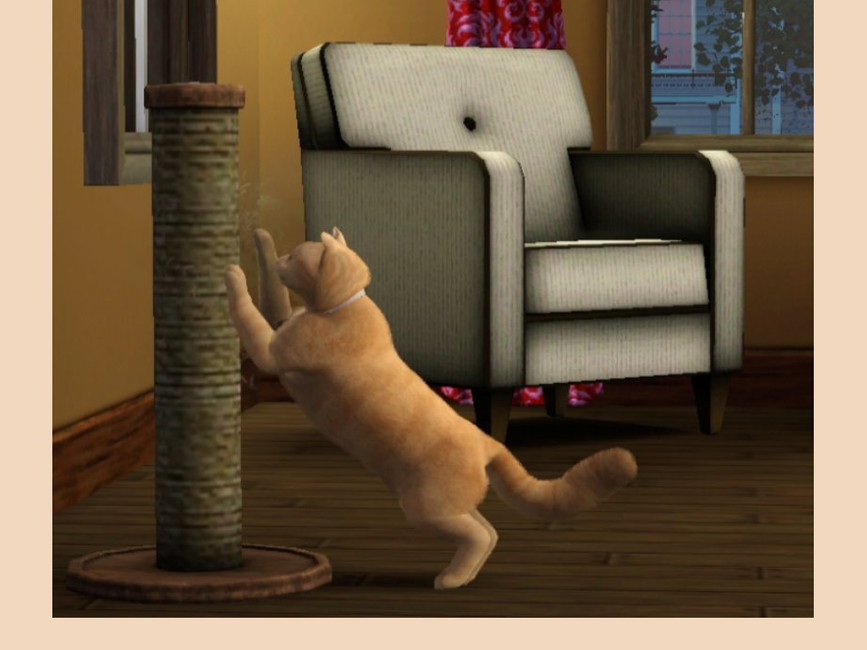 The Sims Resource - ws Cat Peach