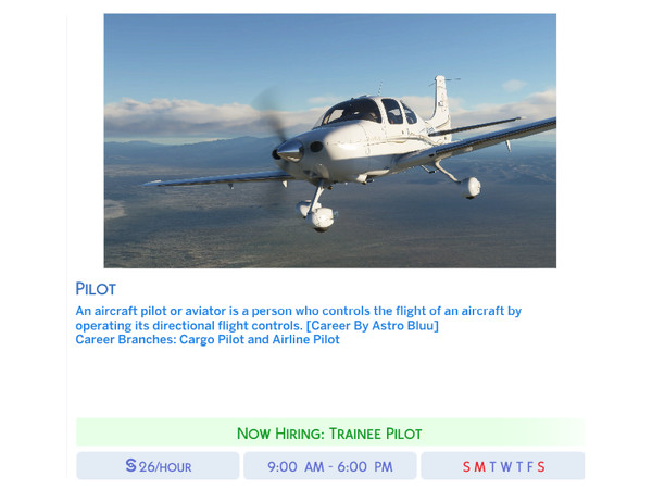 The Sims Resource | Pilot [Career]