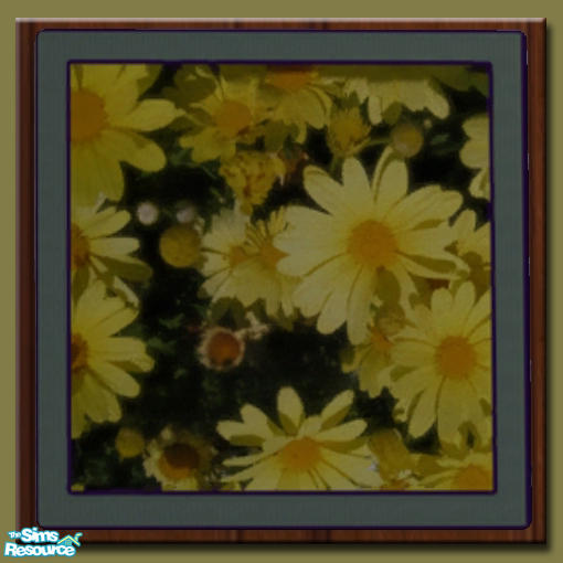 The Sims Resource - Flower Paintings Set - Individual Item
