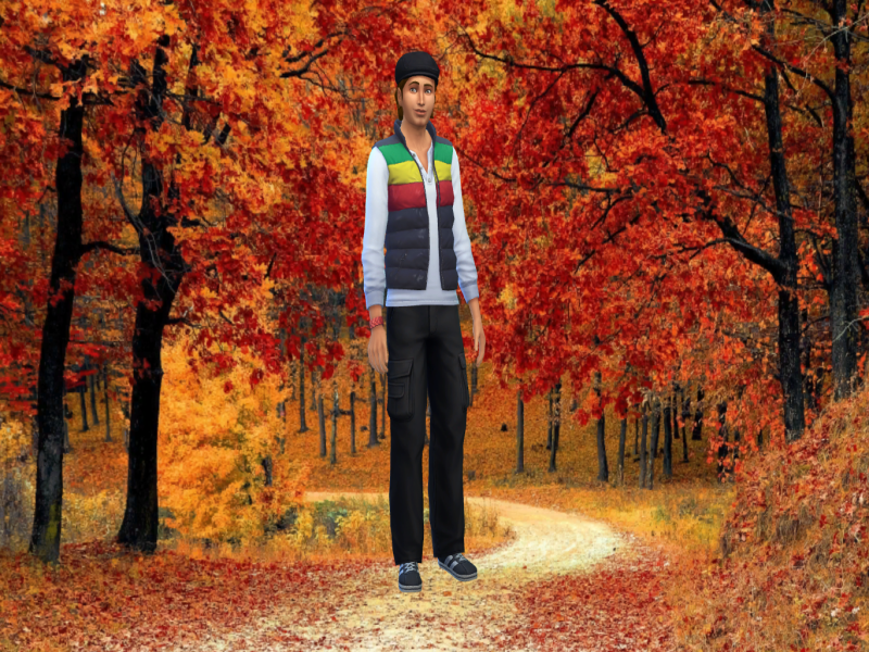 The Sims Resource | Fall Road CAS Background