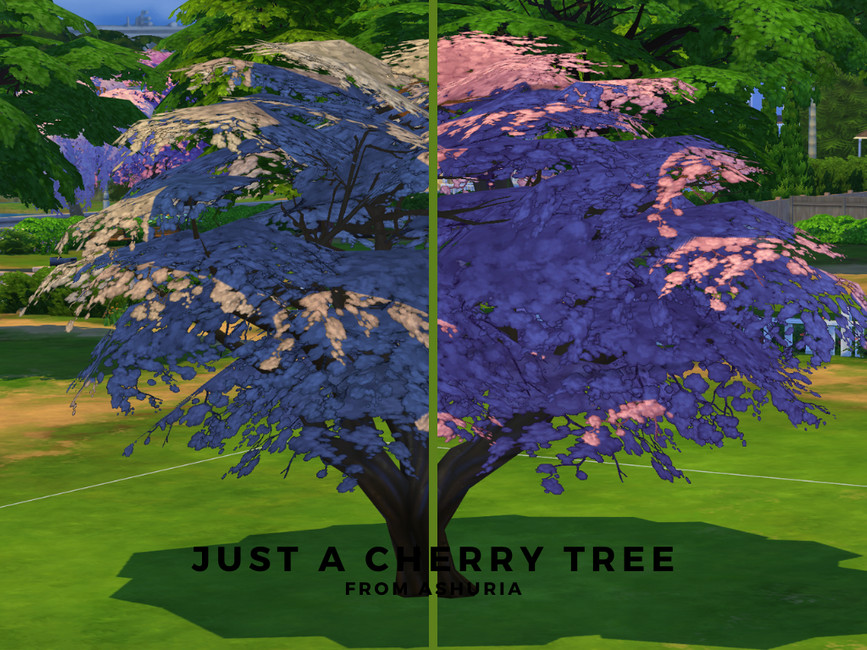 The Sims Resource - Cherry Tree