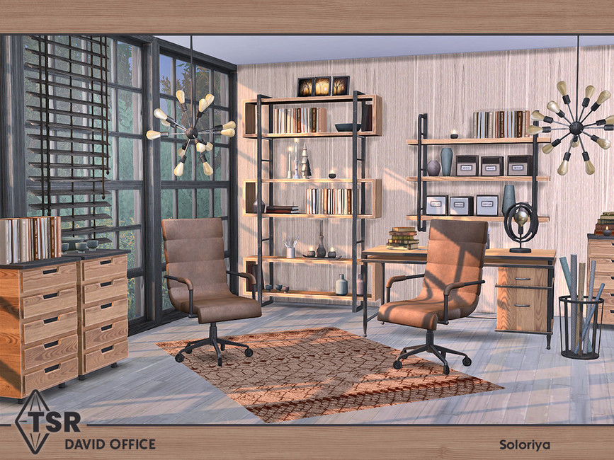 The Sims Resource - David Office