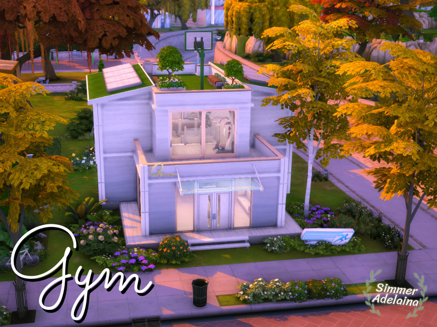 The Sims Resource - Gym