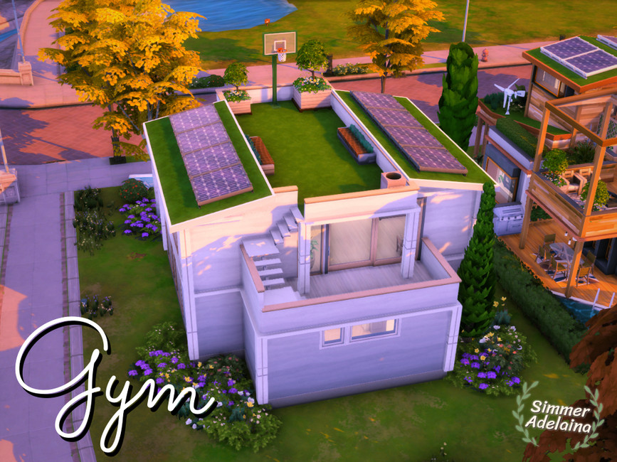 The Sims Resource - Gym