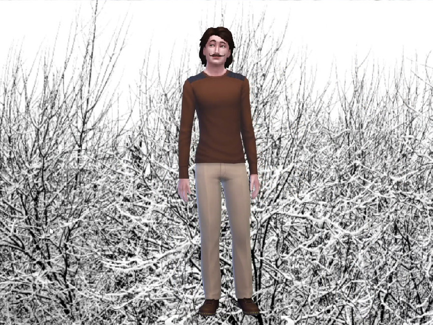 The Sims Resource - The One With Snowy Trees