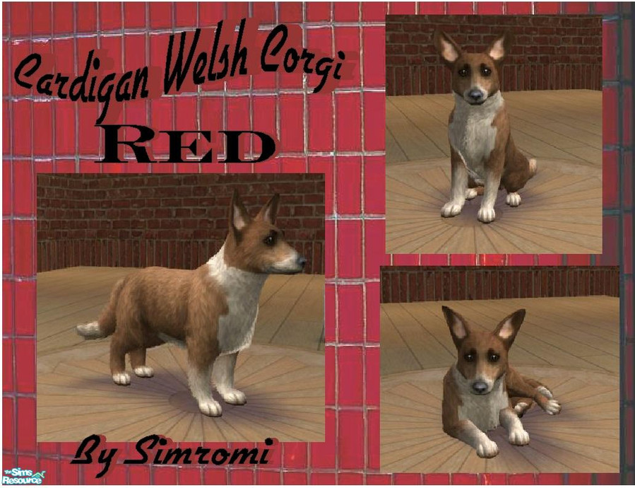 The Sims Resource | Cardigan Welsh Corgi Red Coat
