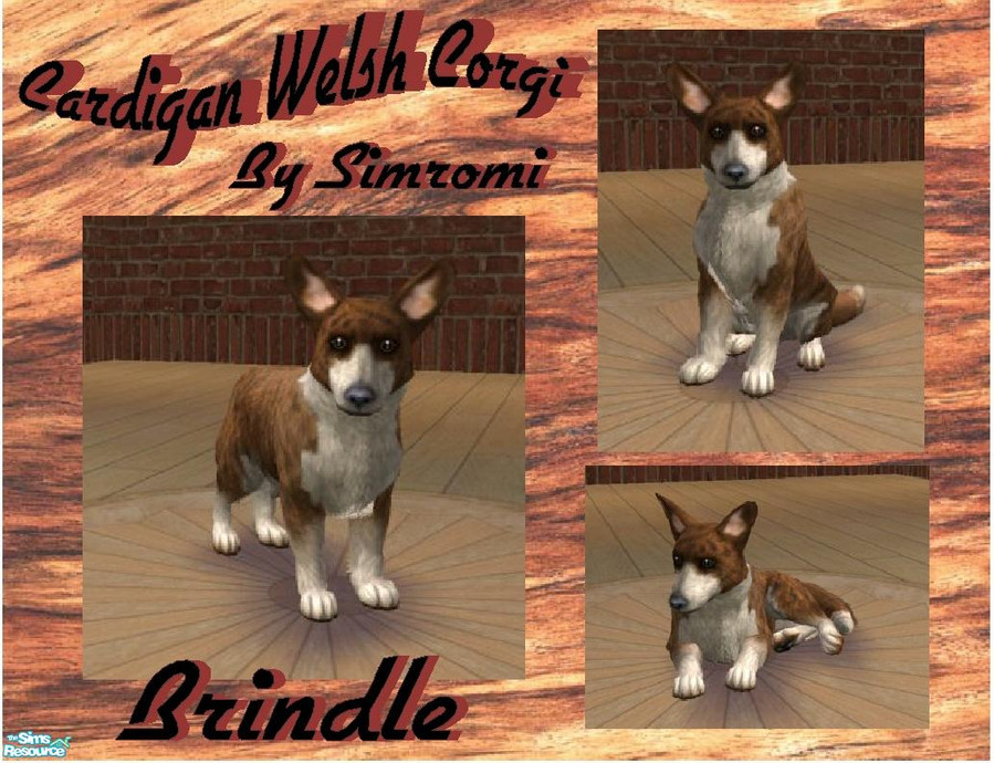 The Sims Resource - Cardigan Welsh Corgi Brindle Coat