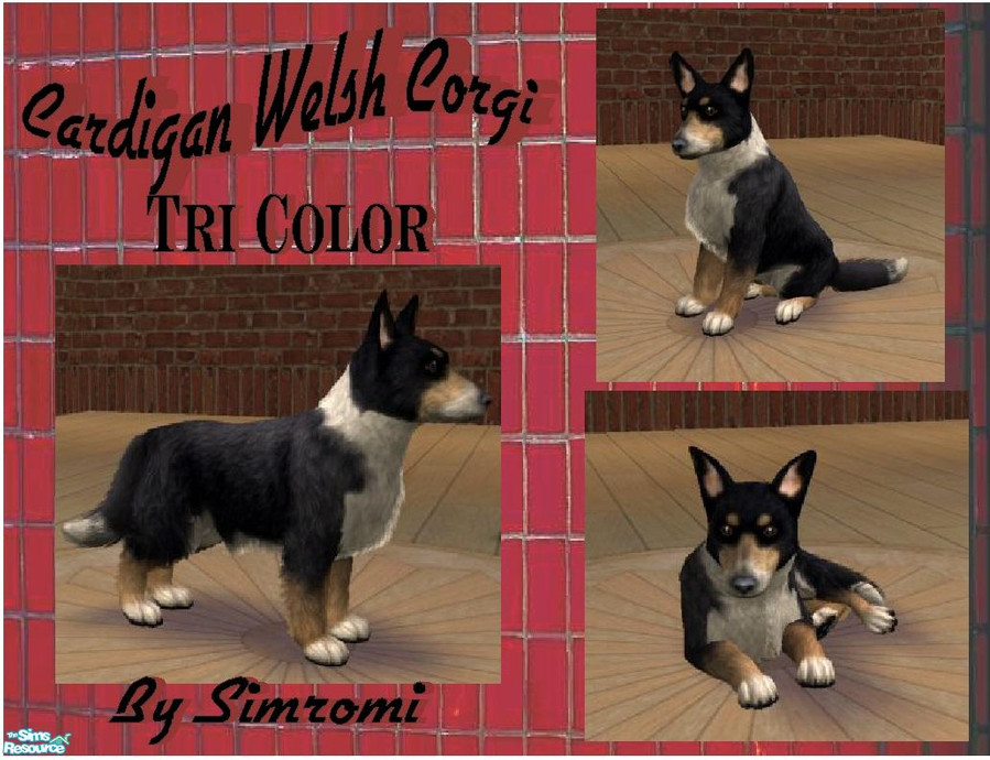The Sims Resource | Cardigan Welsh Corgi Tri Color