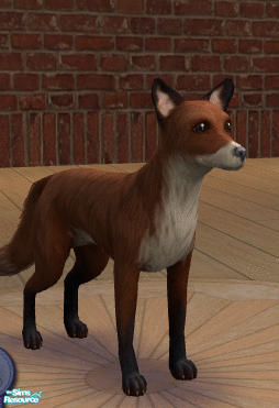 The Sims Resource - Red Fox