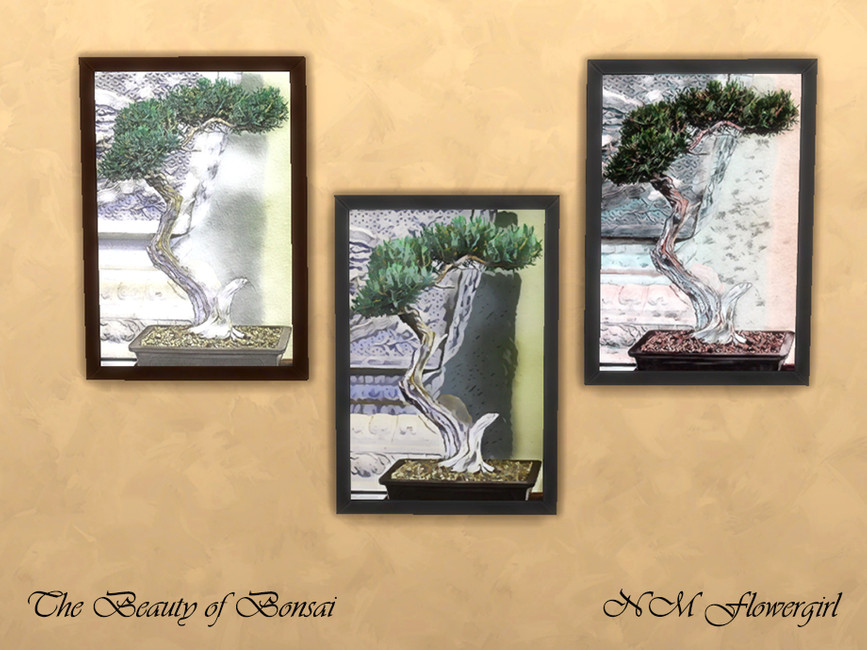 The Sims Resource - The Beauty of Bonsai