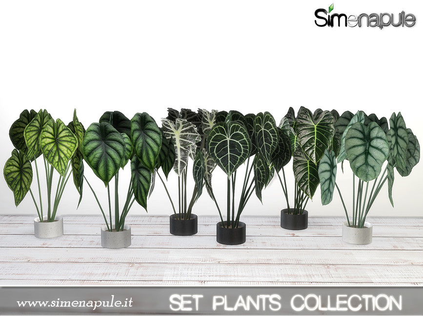 The Sims Resource - Set Plants Collection 03