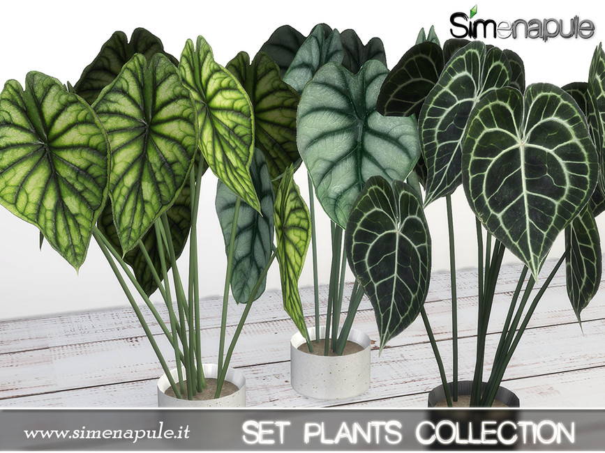 The Sims Resource - Plants Collection