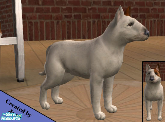 The Sims Resource - Miniature Bull Terrier
