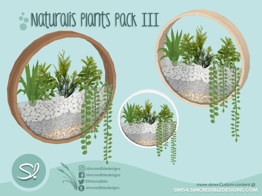 The Sims Resource - Naturalis Plants III - 10 - Wall Terrarium large