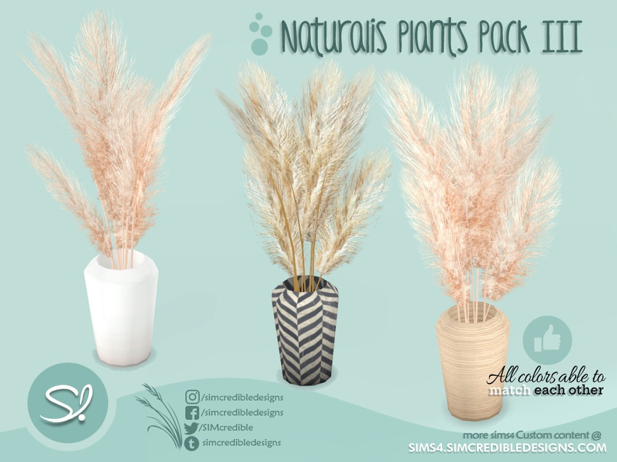 The Sims Resource - Naturalis Plants III - 2 - Dried Pampas Grass