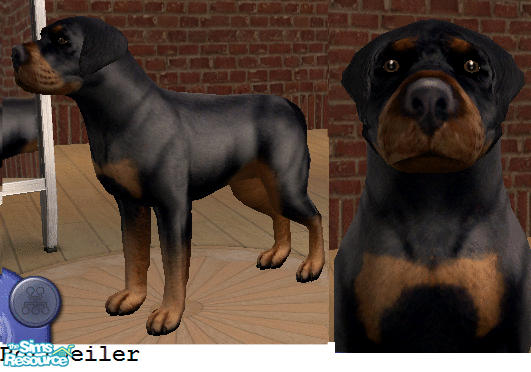 The Sims Resource | Rottweiler