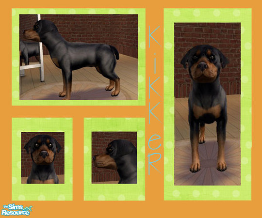 The Sims Resource | Rottweiler - Large Dog