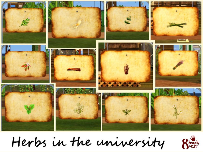 The Sims Resource - Large garden signs for Herbs in University