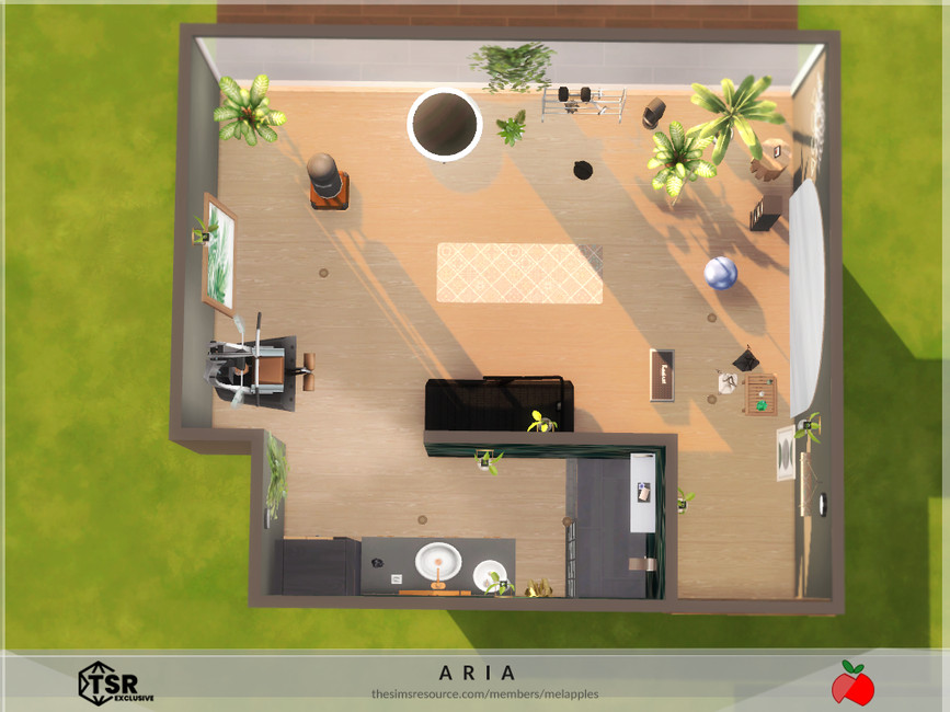 The Sims Resource - Aria - home gym