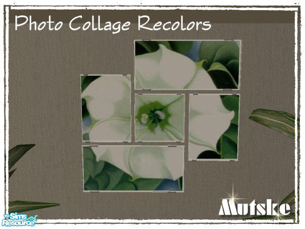 The Sims Resource | Photo Collage Recolors - Flower II